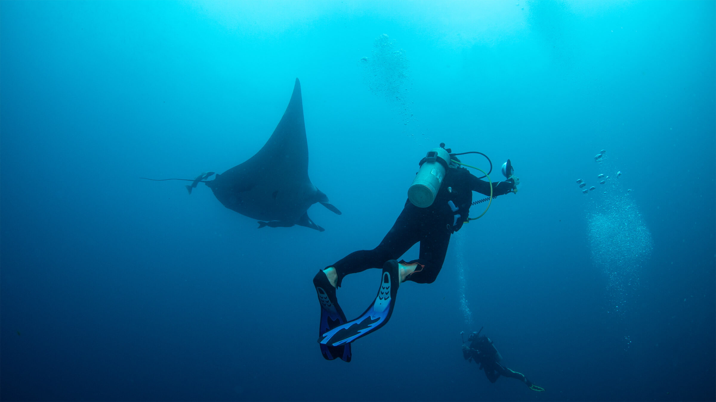 Home - Sunrider Tours